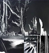 David Muench | Artnet