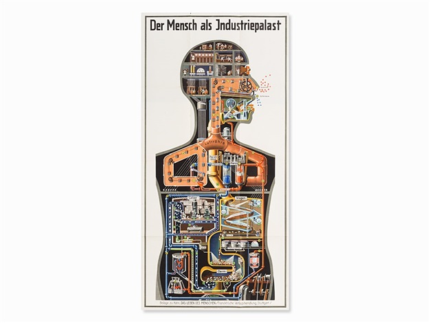 Der Mensch als Industriepalast by Fritz Kahn on artnet