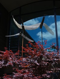 Stuart Angus | Artnet