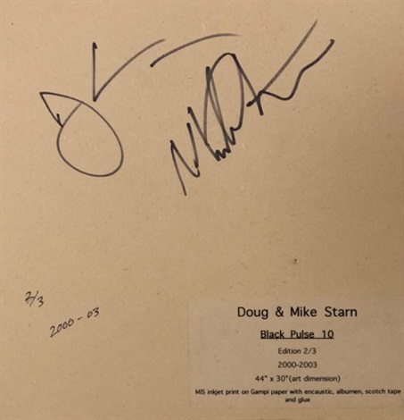 Black Pulse 10 by Doug and Mike Starn on artnet