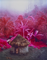 Richard Mosse | Artnet