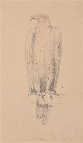 Australian Eagle by William Strutt on artnet