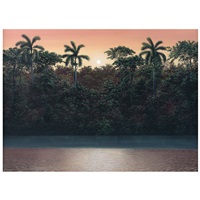 Carlos Rios | Artnet