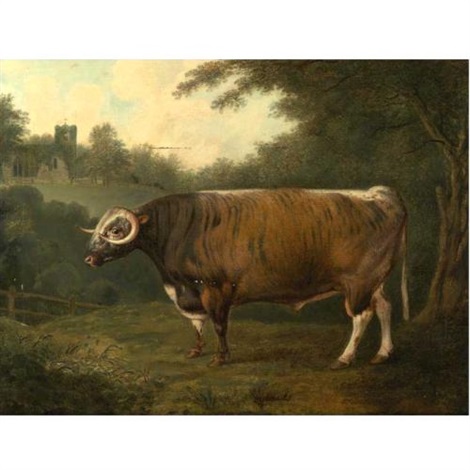 A longhorn bull belonging to Thomas Princep in front of Croxall Church ...