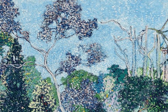 Eucalyptus Tree, Fota by Victor Richardson on artnet