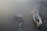 Alan Counihan | Artnet