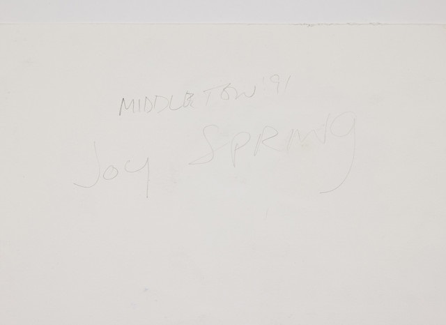 Joy Spring by Sam Middleton on artnet