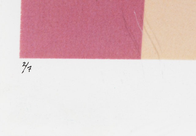 Rose by Robert Mapplethorpe on artnet