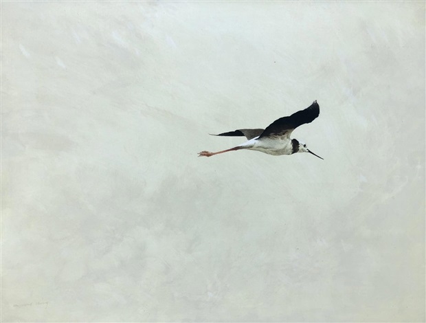 PIED STILT by Raymond Harris Ching on artnet