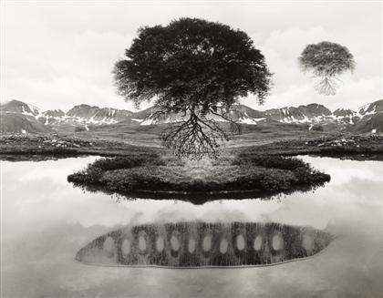 Floating tree by Jerry Uelsmann on artnet