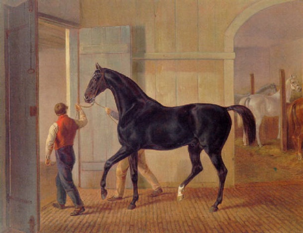 Hengst Logie wird aus dem Stall geführt by Albrecht Adam on artnet