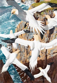 Keith Shackleton | Artnet