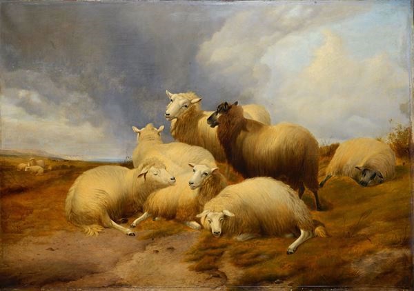 Flock, 1845 by Thomas Sidney Cooper on artnet