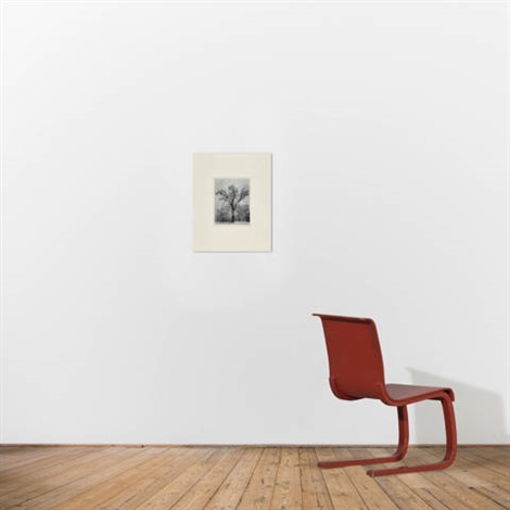 Oak Tree, Snow Storm, Yosemite, CA by Ansel Adams on artnet