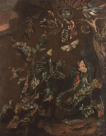 A snake and butterflies amongst thistles on a forest floor by Alida ...