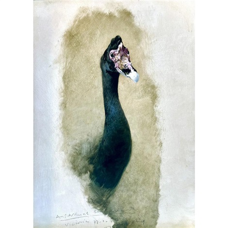 Magpie Goose by Raymond Harris Ching on artnet