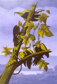 Peter Edlund | Artnet