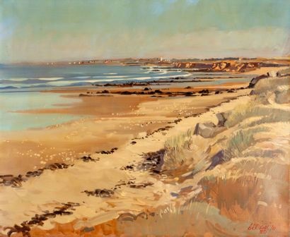 Dunes en Bretagne by Jean-François Arrigoni-Néri on artnet