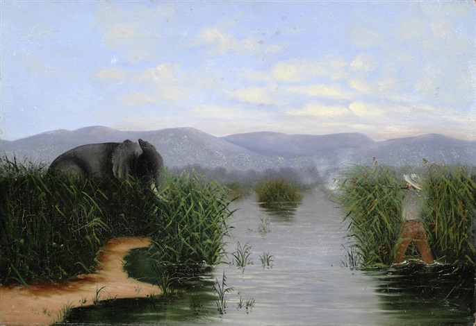 Elephant shooting at the swamps of Stanley Pool Malebo Pool, Congo by ...