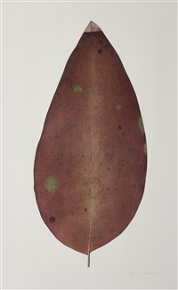 Jonathan Delafield Cook | Artnet