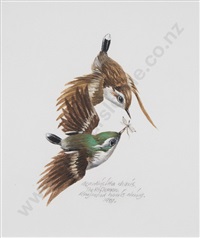 Raymond Harris Ching | Artnet