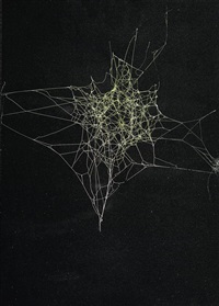 Sandra Selig | Artnet