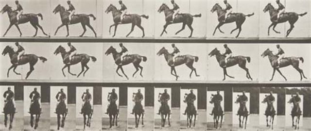 Animal locomotion 21 motion studies from Animal locomotion, an electro ...