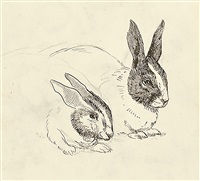 Beatrix Potter | Artnet