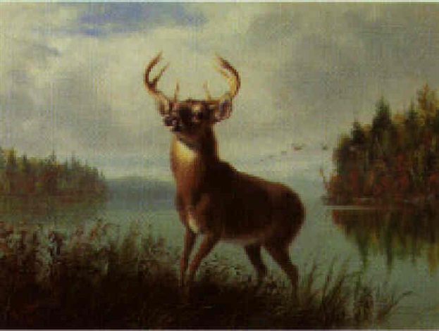 An eight point stag by Arthur Fitzwilliam Tait on artnet