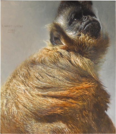 Capuchin by Raymond Harris Ching on artnet