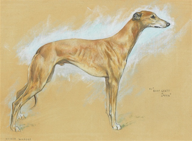 Beau Geste of Loven - A Champion Greyhound by Arthur Wardle on artnet