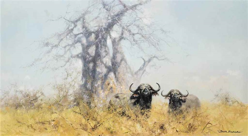 Buffalo by David Shepherd on artnet