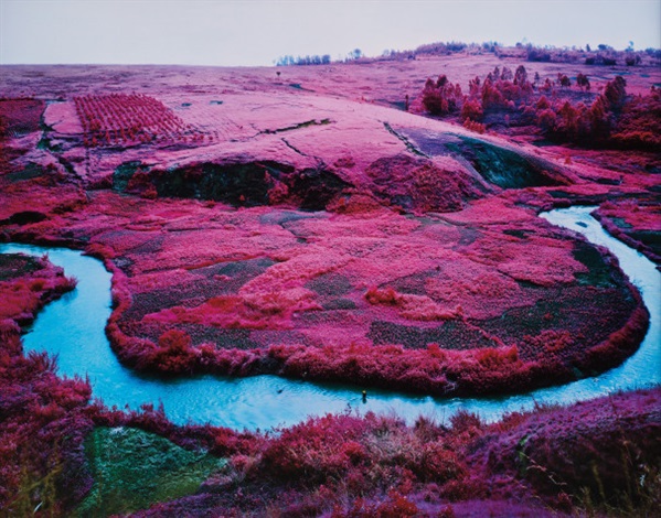 Beast of Burden by Richard Mosse on artnet