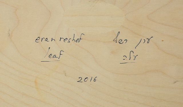 Leaf by Eran Reshef on artnet