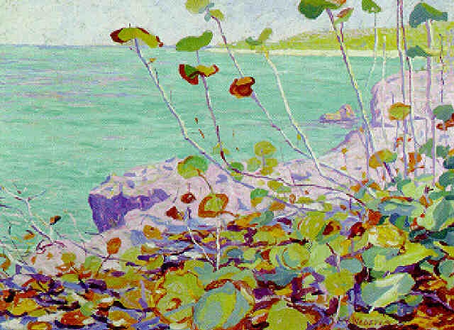 Wild grape, Bermuda by E. Ambrose Webster on artnet