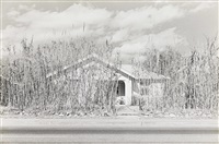 Henry Wessel | Artnet