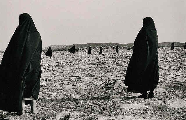 Rapture by Shirin Neshat on artnet