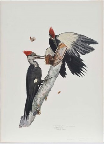 20 Birds of Mt. Desert Island by Carroll Sargent Tyson Jr. on artnet