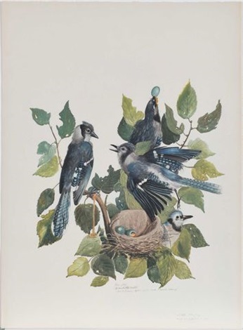 20 Birds of Mt. Desert Island by Carroll Sargent Tyson Jr. on artnet