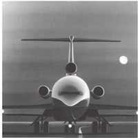 Livia Pertile | Artnet