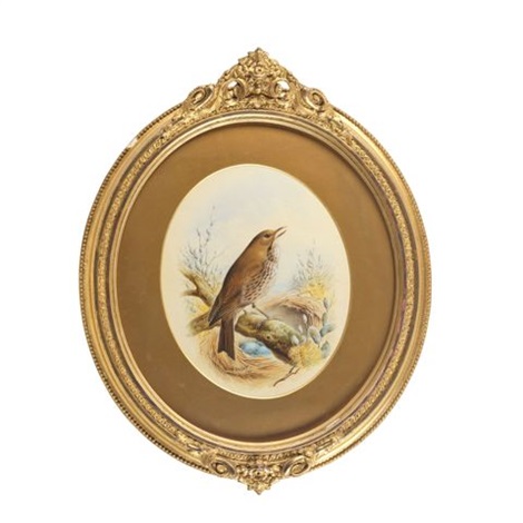 A group of four bird studies including - Long tailed tit - Blackbird ...