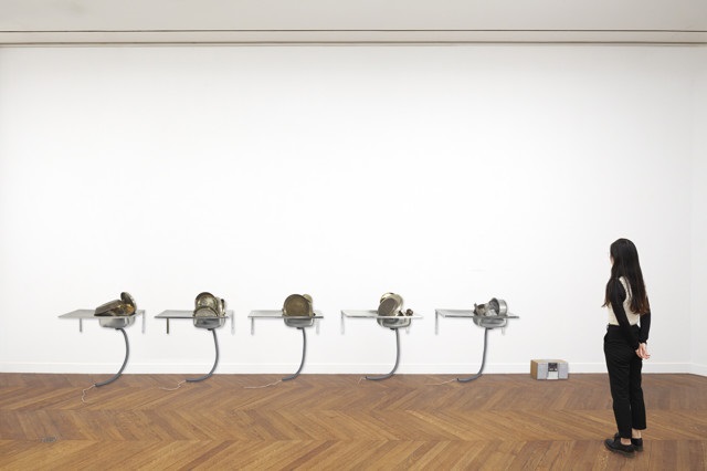 Jootha by Subodh Gupta on artnet