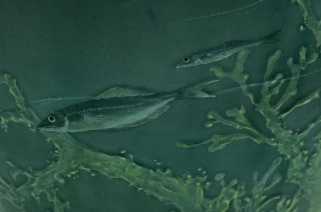 William P. McDonald For Rookwood Pottery by William McDonald on artnet