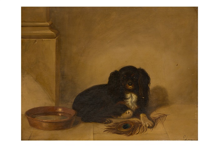 Portrait of Cavalier King Charles Spaniel with peacock feather by Sir Edwin Henry Landseer on artnet