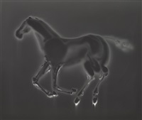 Alison Rossiter | Artnet