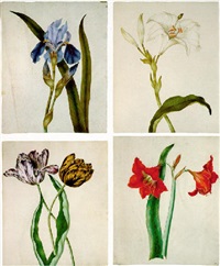 Martha Tuthill | Artnet