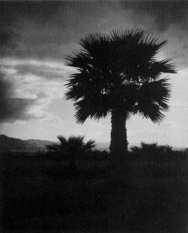 California sunset by Drahomir Josef Ruzicka on artnet