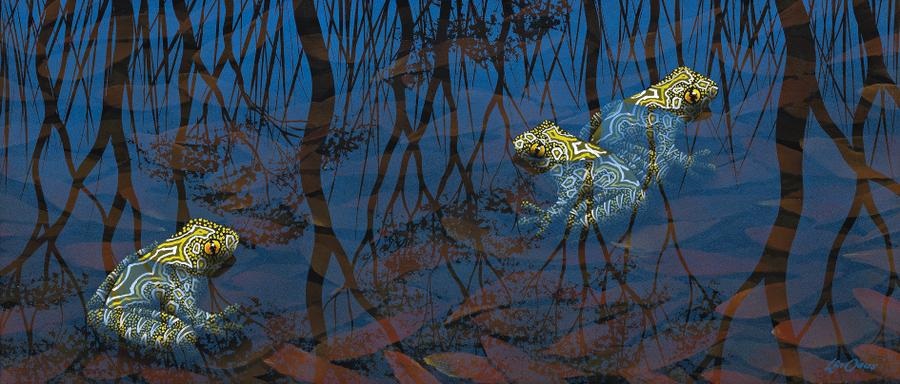 Kiup bulla gookoop Three frogs by Lin Onus on artnet