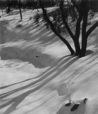 Winter in Central Park by Drahomir Josef Ruzicka on artnet