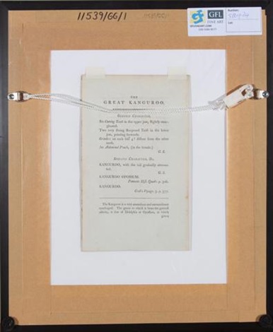 THE GREAT KANGUROO SIC by Frederick Polydore Nodder on artnet